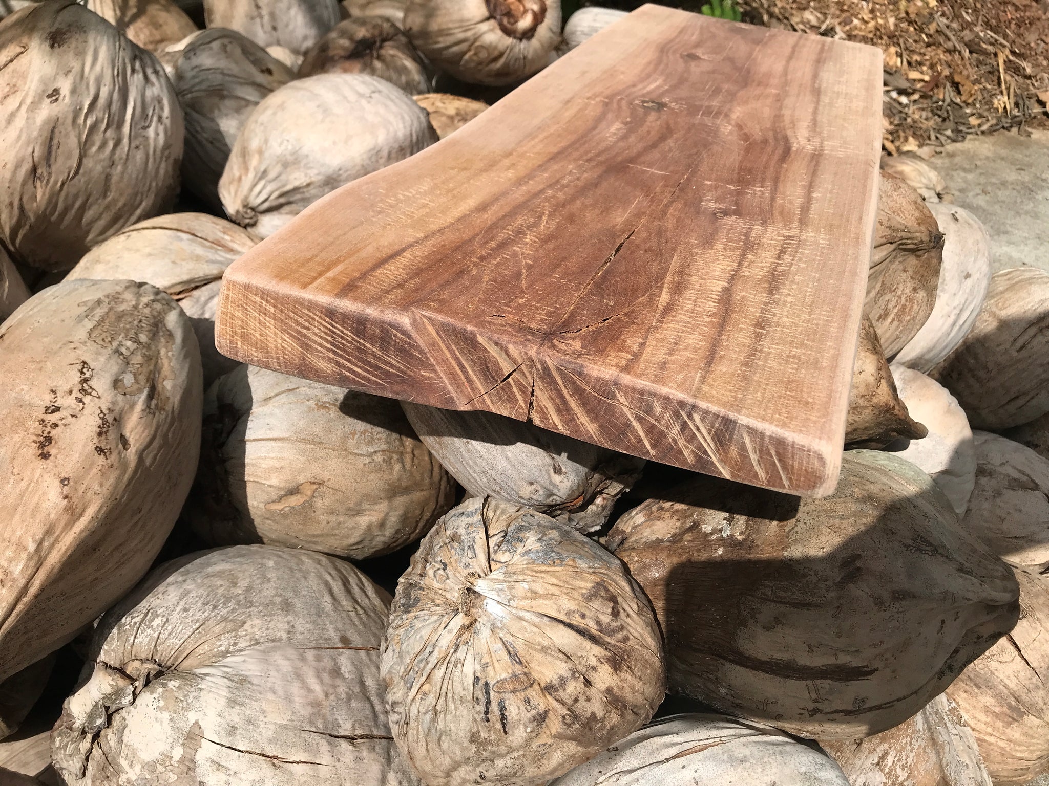 Slab - coastal erosion ironwood from Kailua Beach, Hawaii – B.C. FRaME