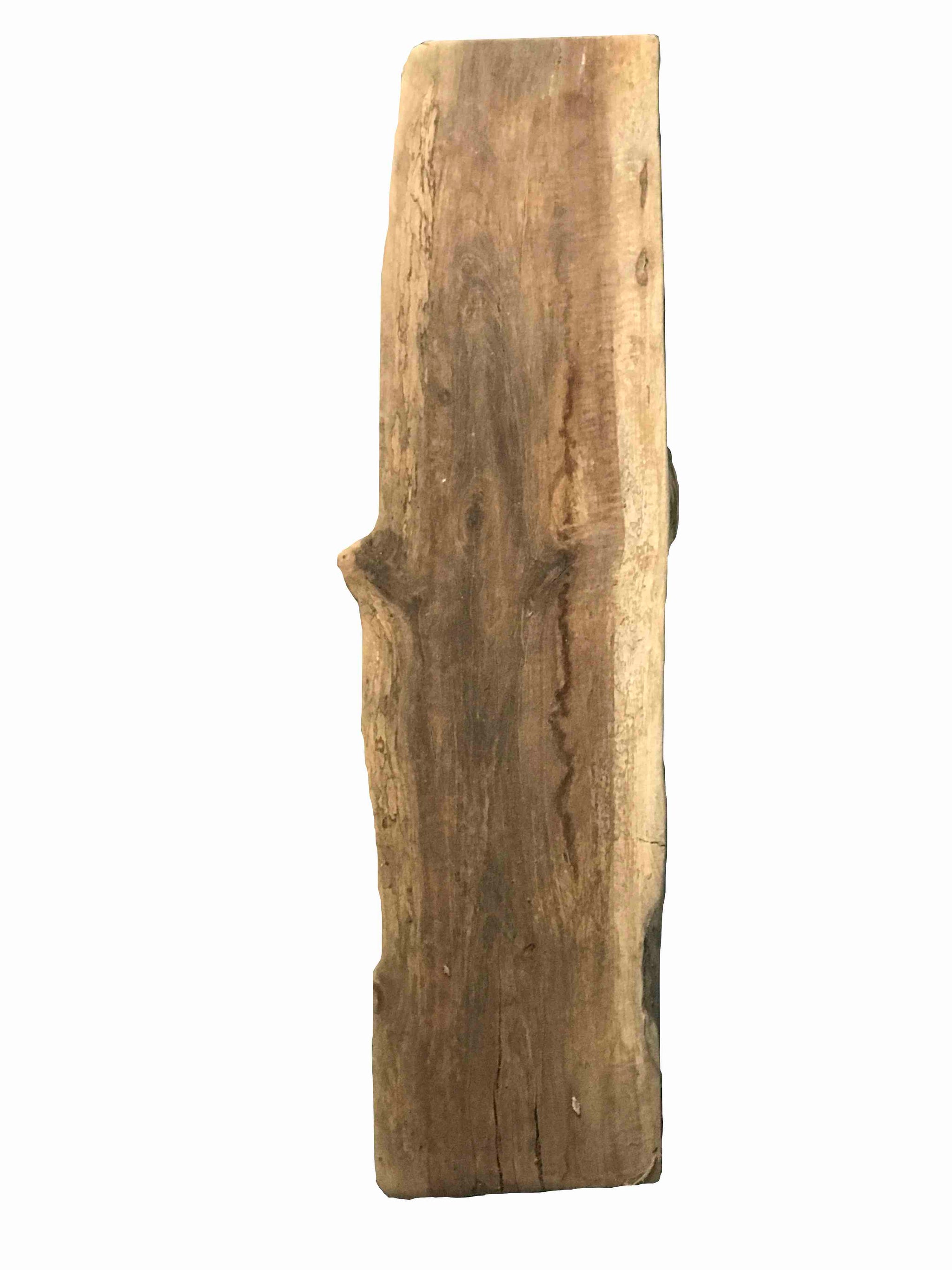 Slab - coastal erosion ironwood from Kailua Beach, Hawaii – B.C. FRaME